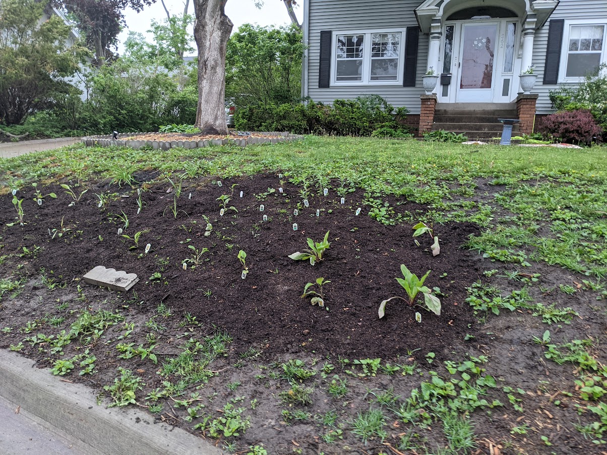 Making a Difference – Iowa Native Gardener