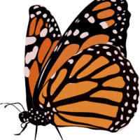 2025 – Iowa Native Gardener